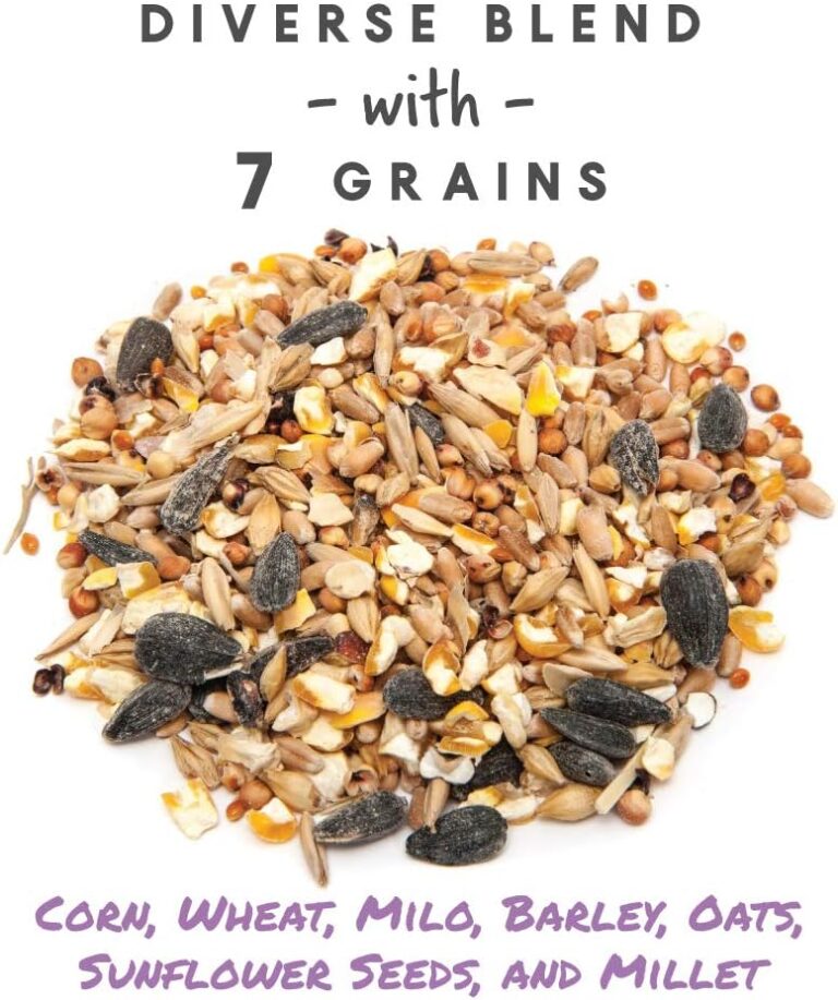 Manna Pro 7-Grain Ultimate Chicken Scratch Review – Spoiled Chickens