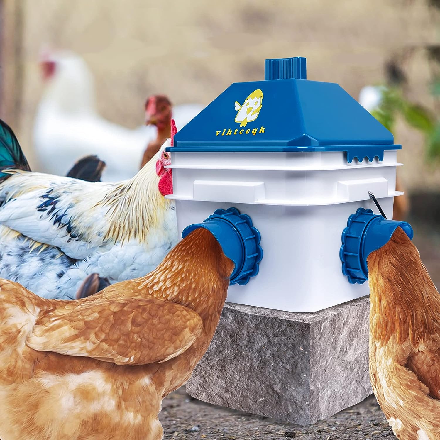 vlhtceqk Chicken Feeder No Waste 10lb review – Spoiled Chickens